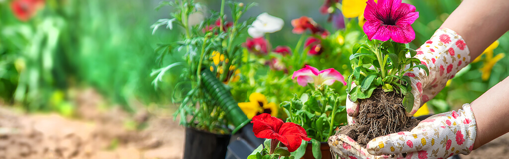 QualChoice Health Insurance | Home